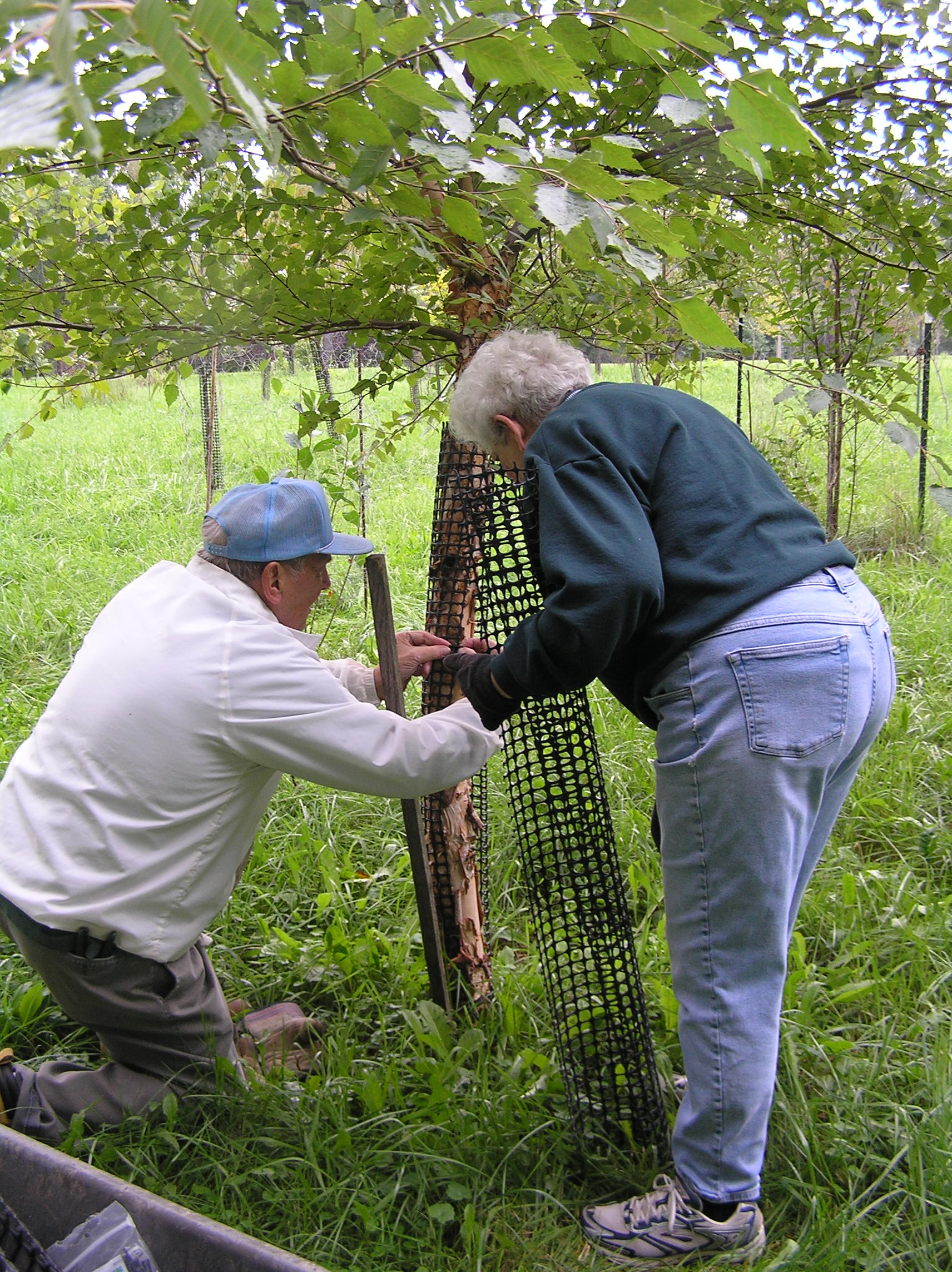 Volunteers – An Oasis in Frederick, MD